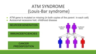 ATM-Deficient Colorectal Cancer Cells Are Sensitive to the PARP ...