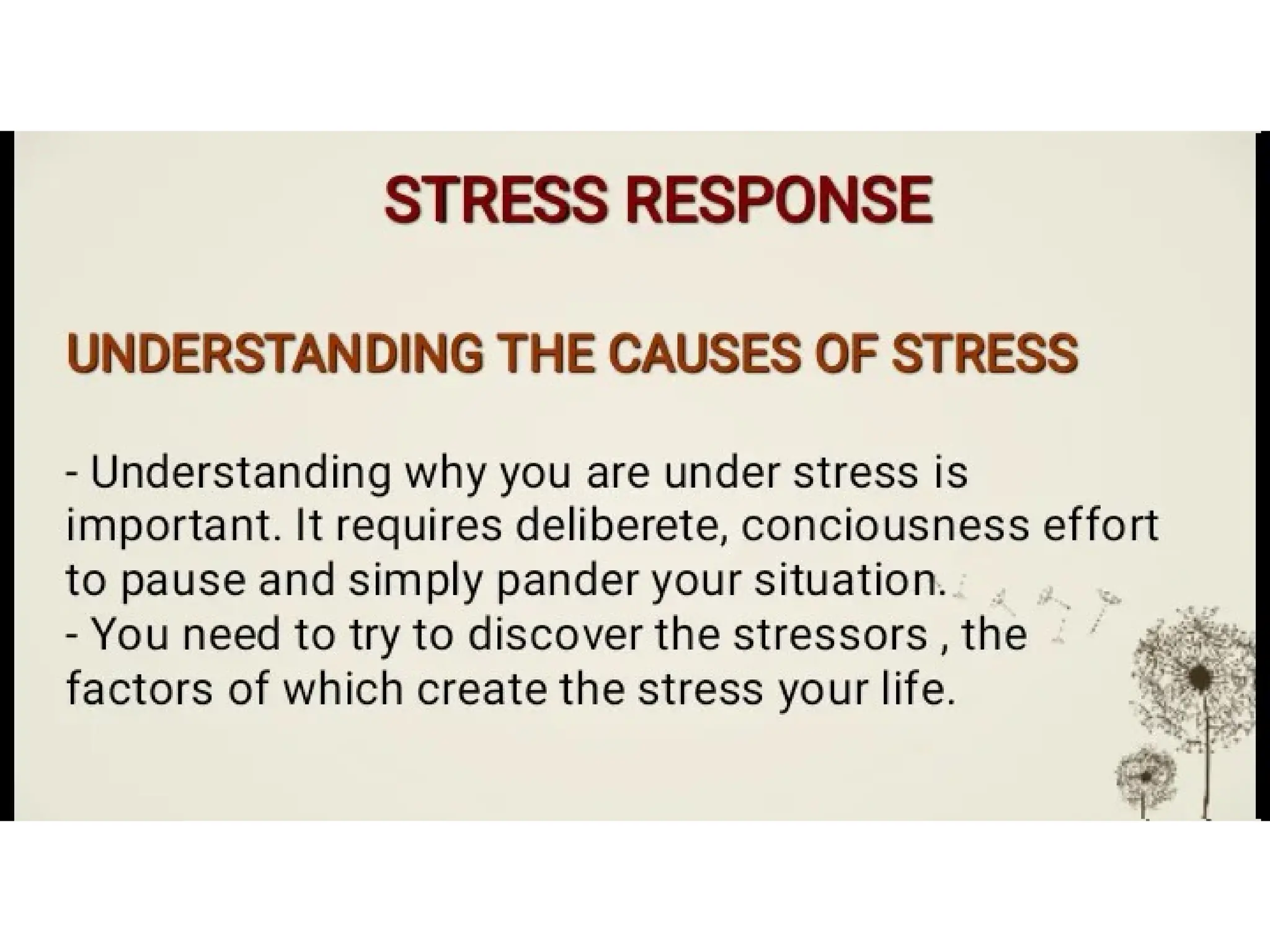PowerPoint Presentation on Coping with Stress.pptx