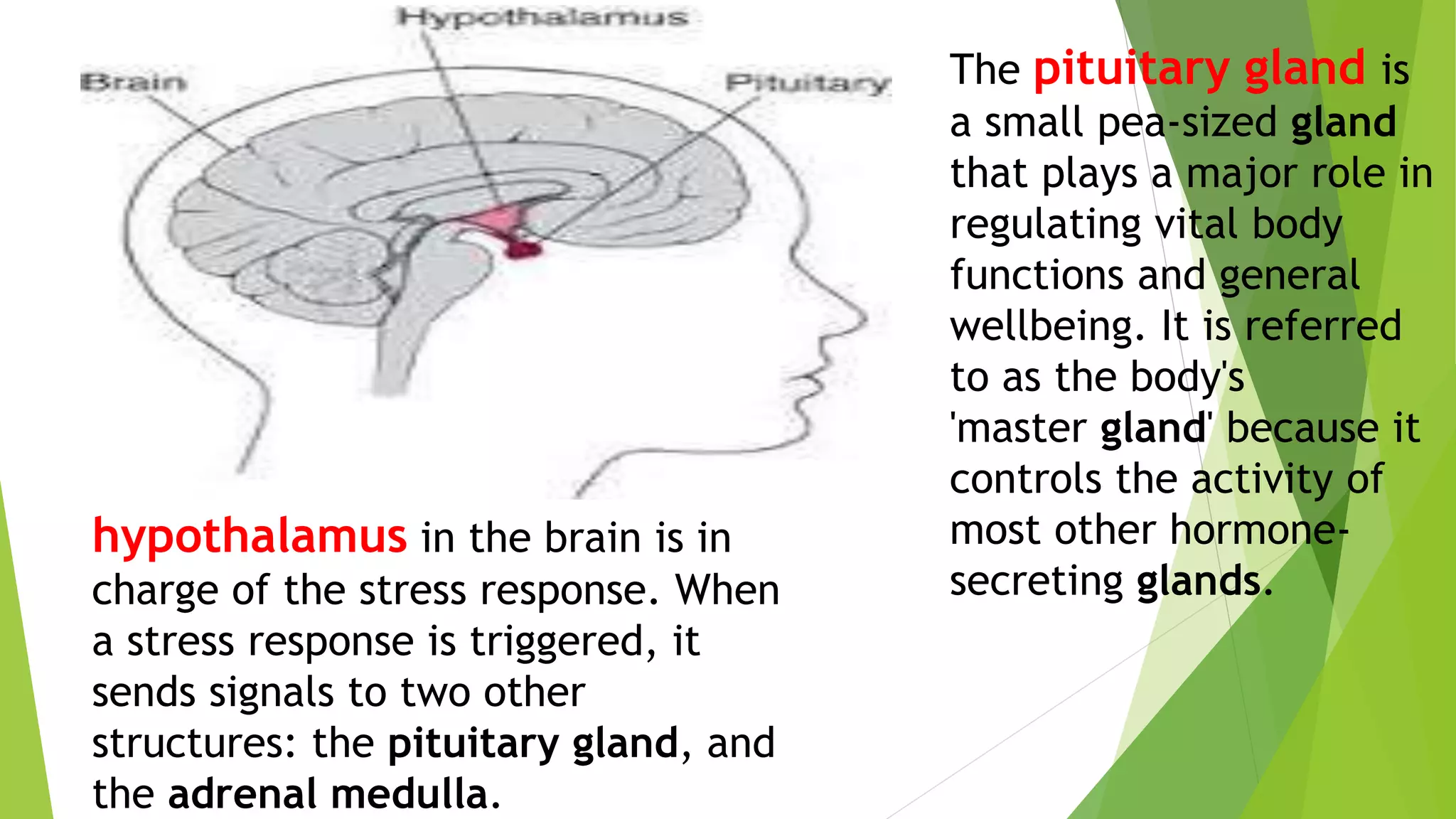 Coping with stress in middle and late adolescence | PPTX