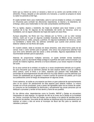 Copite | DOCX