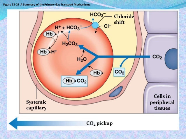 Copmpensation mechanism acd & base