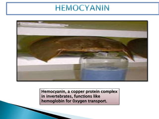 Copper clinical importance for medical students | PPTX