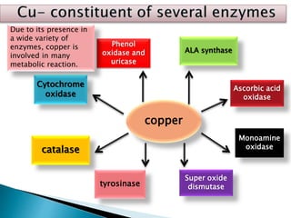 Copper clinical importance for medical students | PPTX