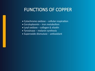 Copper_Images_Flowchart_Modern_MBBS.pptx