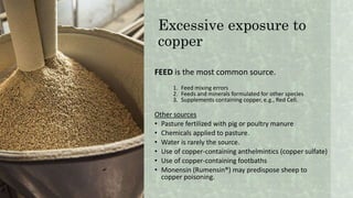 Copper: its complicated | PPTX