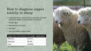 Copper: its complicated | PPTX