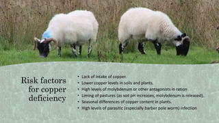 Copper: its complicated | PPTX