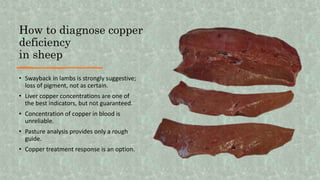 Copper: its complicated | PPTX