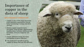 Copper: its complicated | PPTX