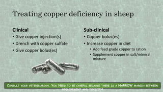 Copper: its complicated | PPTX
