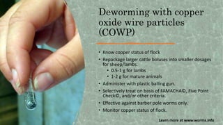 Copper: its complicated | PPTX