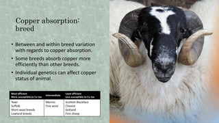 Copper: its complicated | PPTX