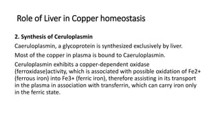 Copper metabolism | PDF