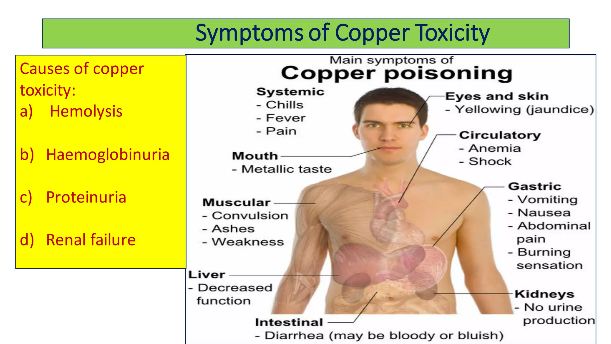 Copper metabolism and its clinical significance | PDF | Blood Disorders ...