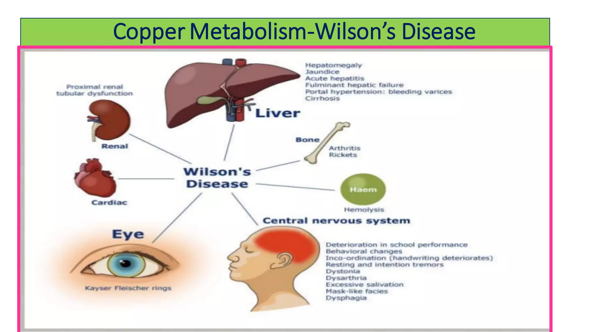 Copper metabolism and its clinical significance | PDF
