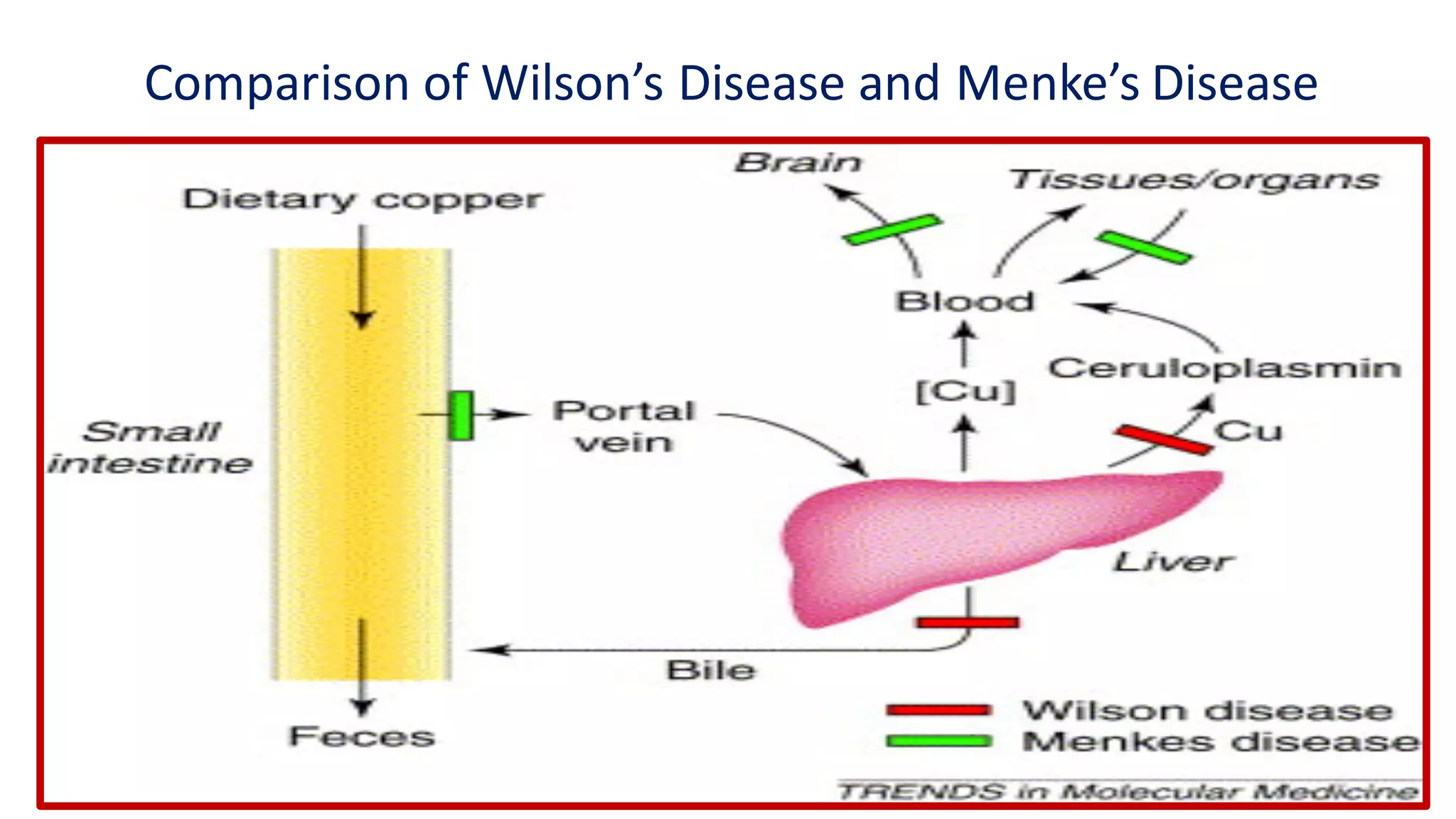 Copper metabolism and its clinical significance | PDF