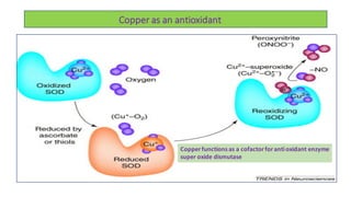 Copper metabolism and its clinical significance | PDF