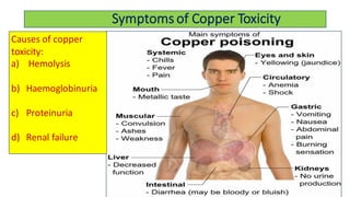 Copper metabolism and its clinical significance | PDF