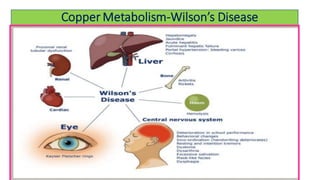 Copper metabolism and its clinical significance | PDF