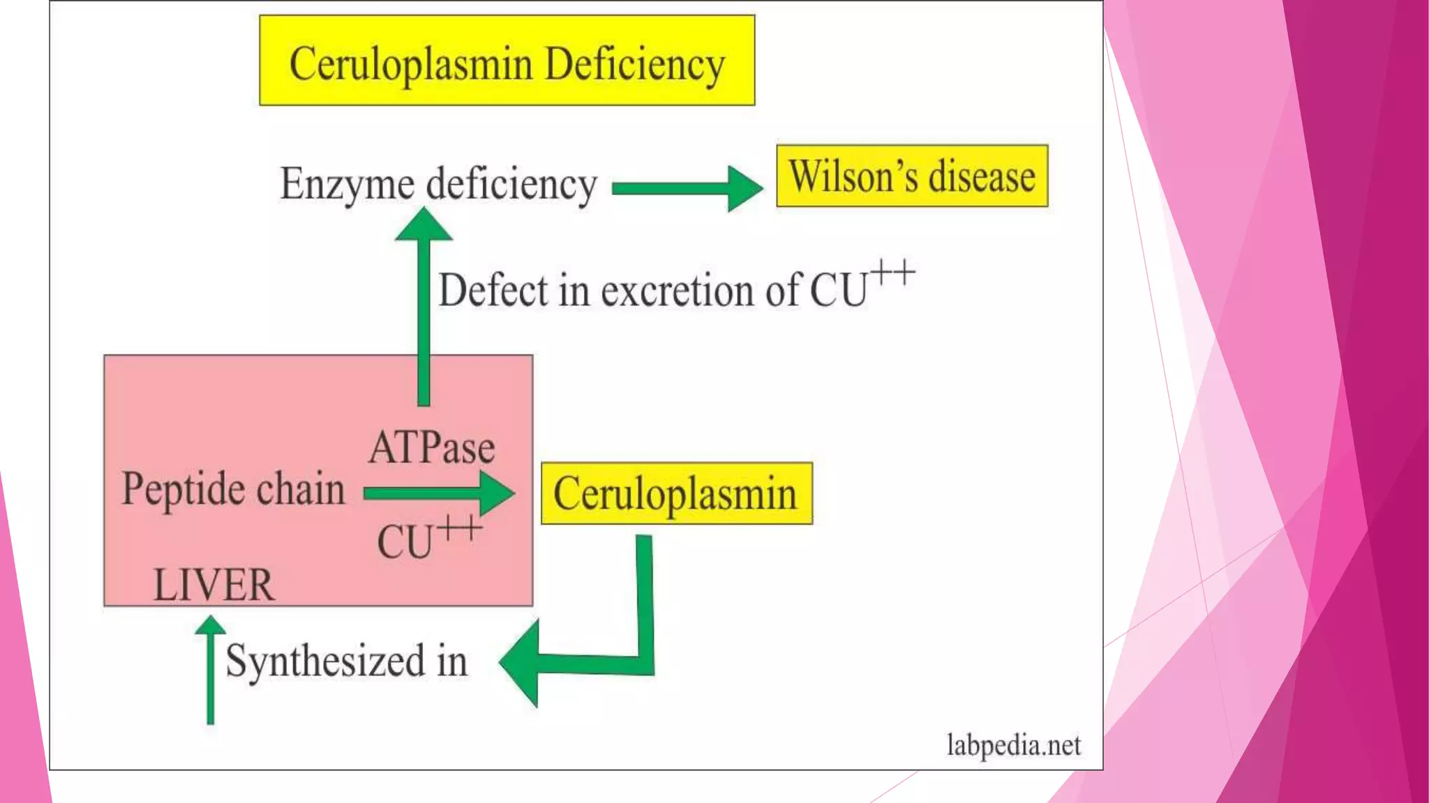 Copper toxicity | PPTX
