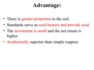 Coppice system , methods, types, purposes | PPT
