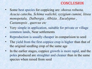 Coppice system sanjay tiwari | PPT