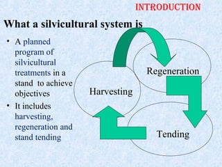 Coppice system sanjay tiwari | PPT