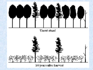 Coppice system sanjay tiwari | PPT