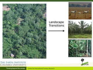 Science and tools for fire adaptation and mitigation | PPT