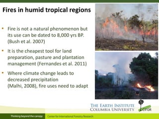 Science and tools for fire adaptation and mitigation | PPT