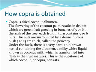 Copra | PPT