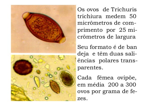 Parasitologia