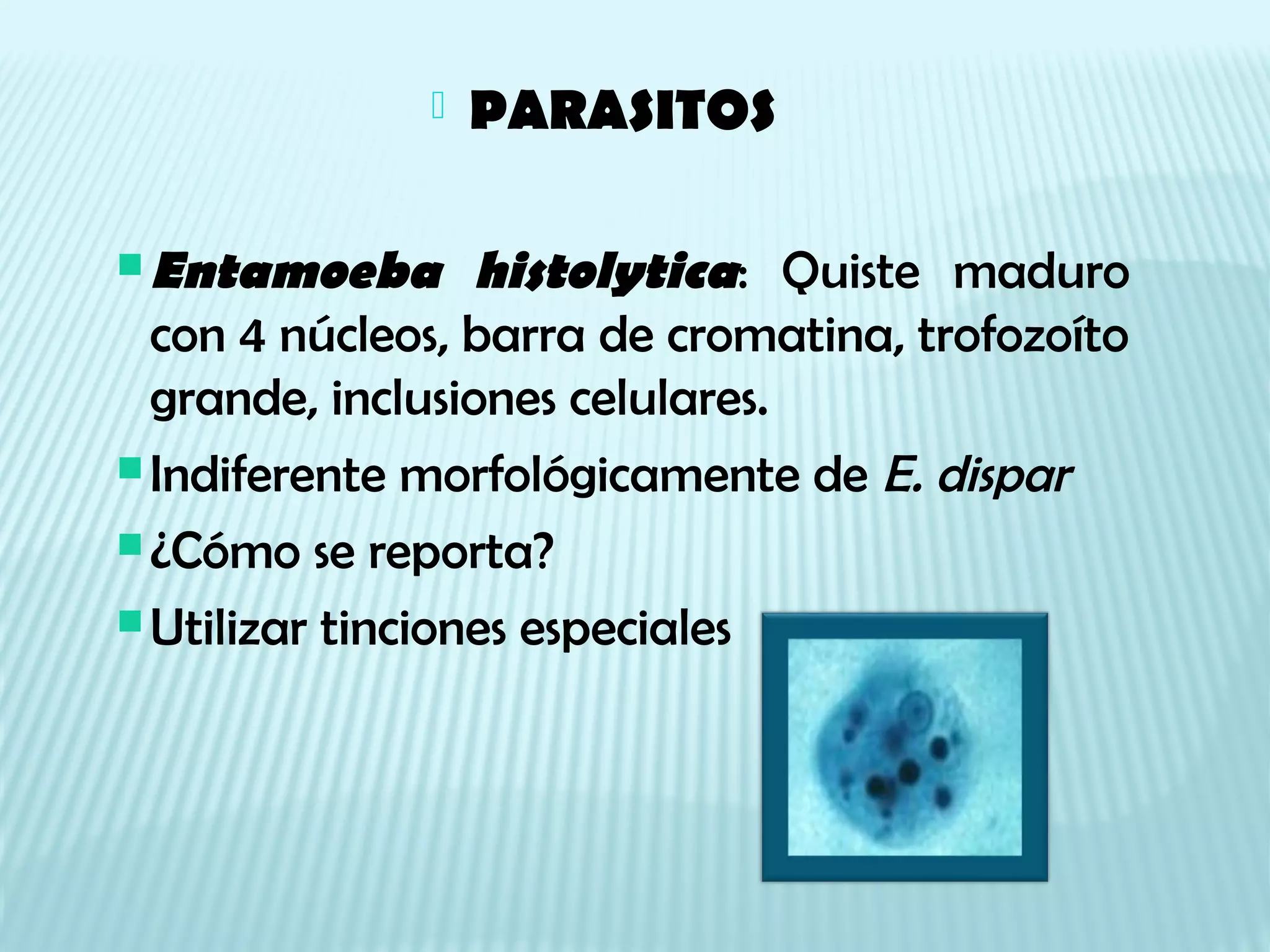 Coprología examen de heces | PPT