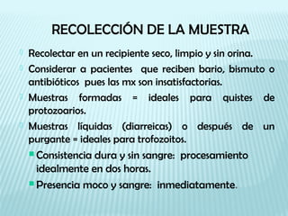 Coprología examen de heces | PPT