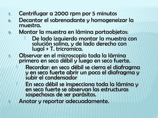 Coprología examen de heces | PPT