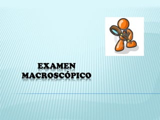 Coprología examen de heces | PPT