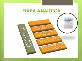 Coprologia | PPT