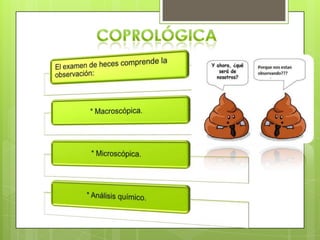 Coprologia | PPTX
