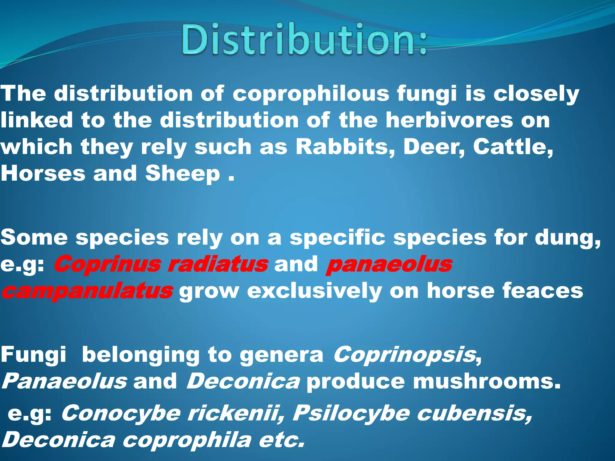 Coprophilous and cellulolytic fungi | PPTX