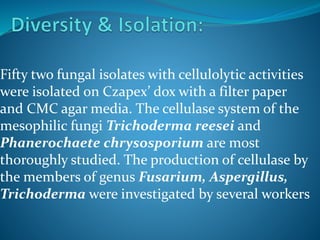 Coprophilous and cellulolytic fungi | PPTX