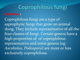 Coprophilous and cellulolytic fungi | PPTX