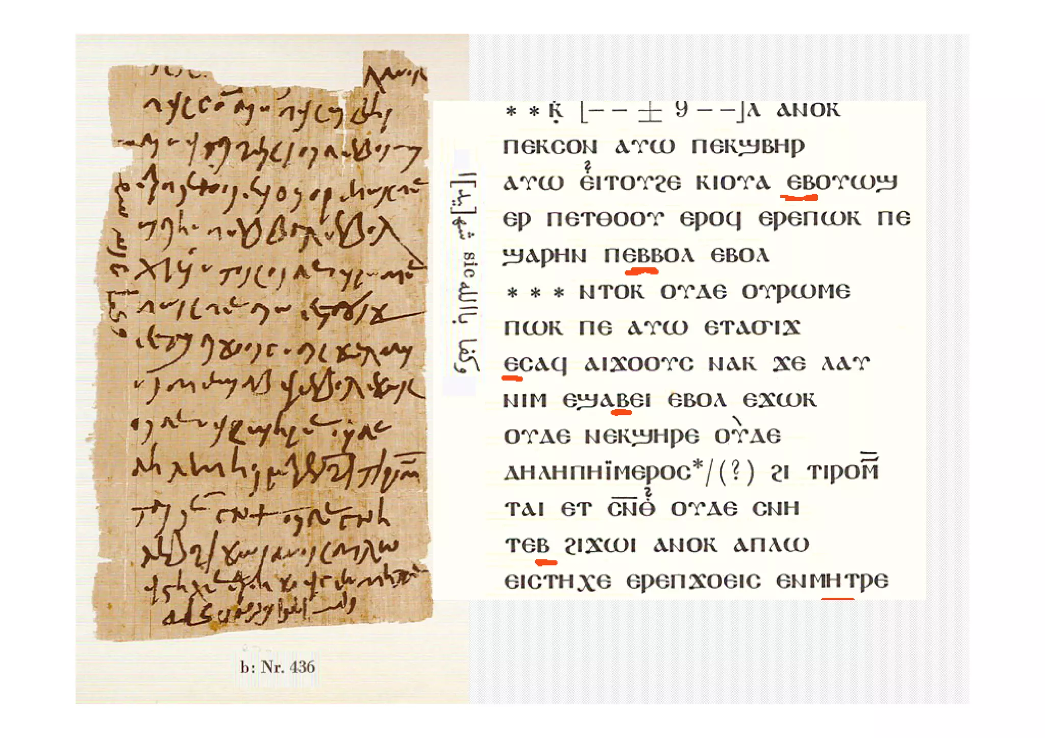 The Coptic Language | PDF