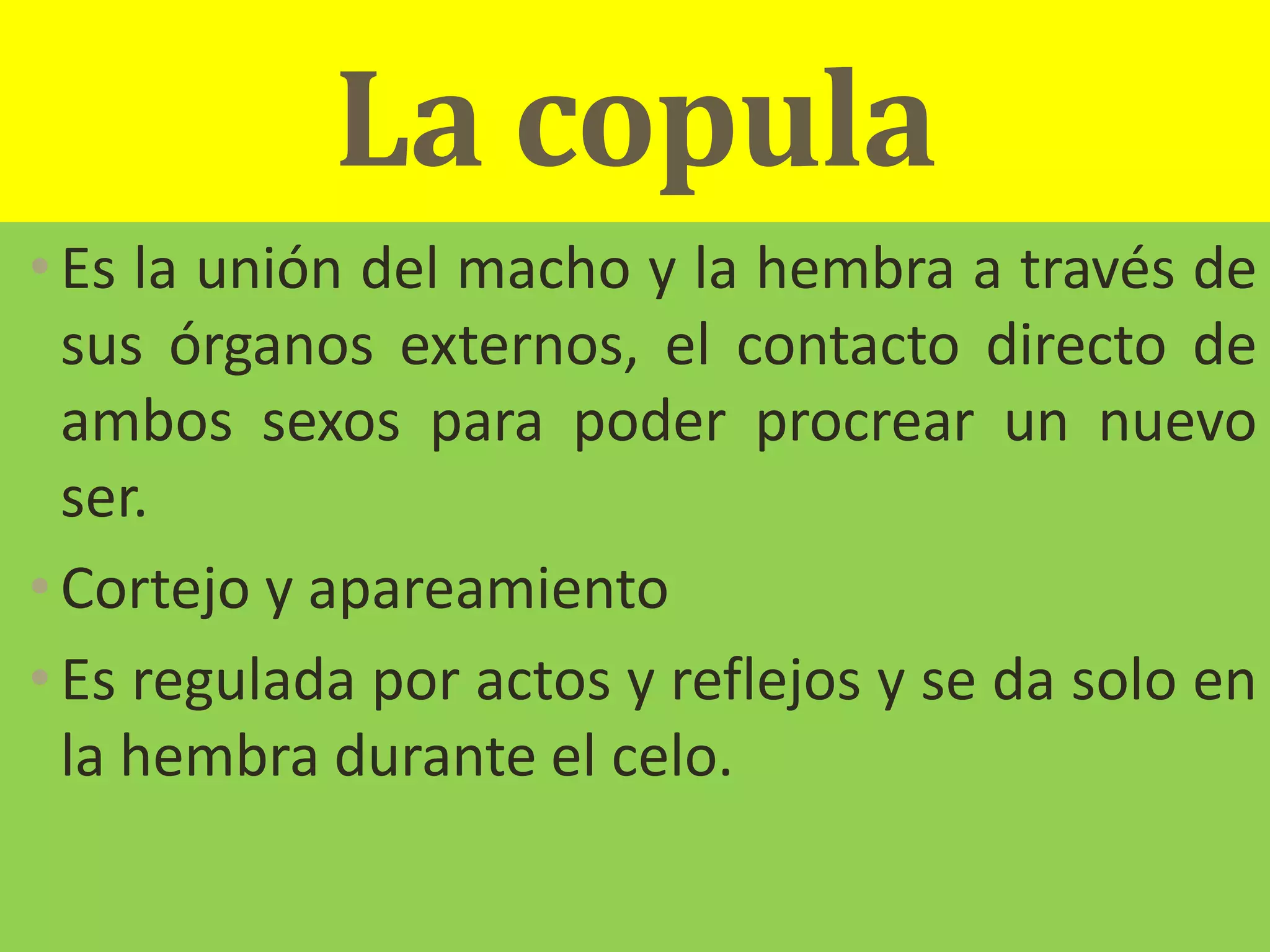 Copula, gestación y parto | PPT