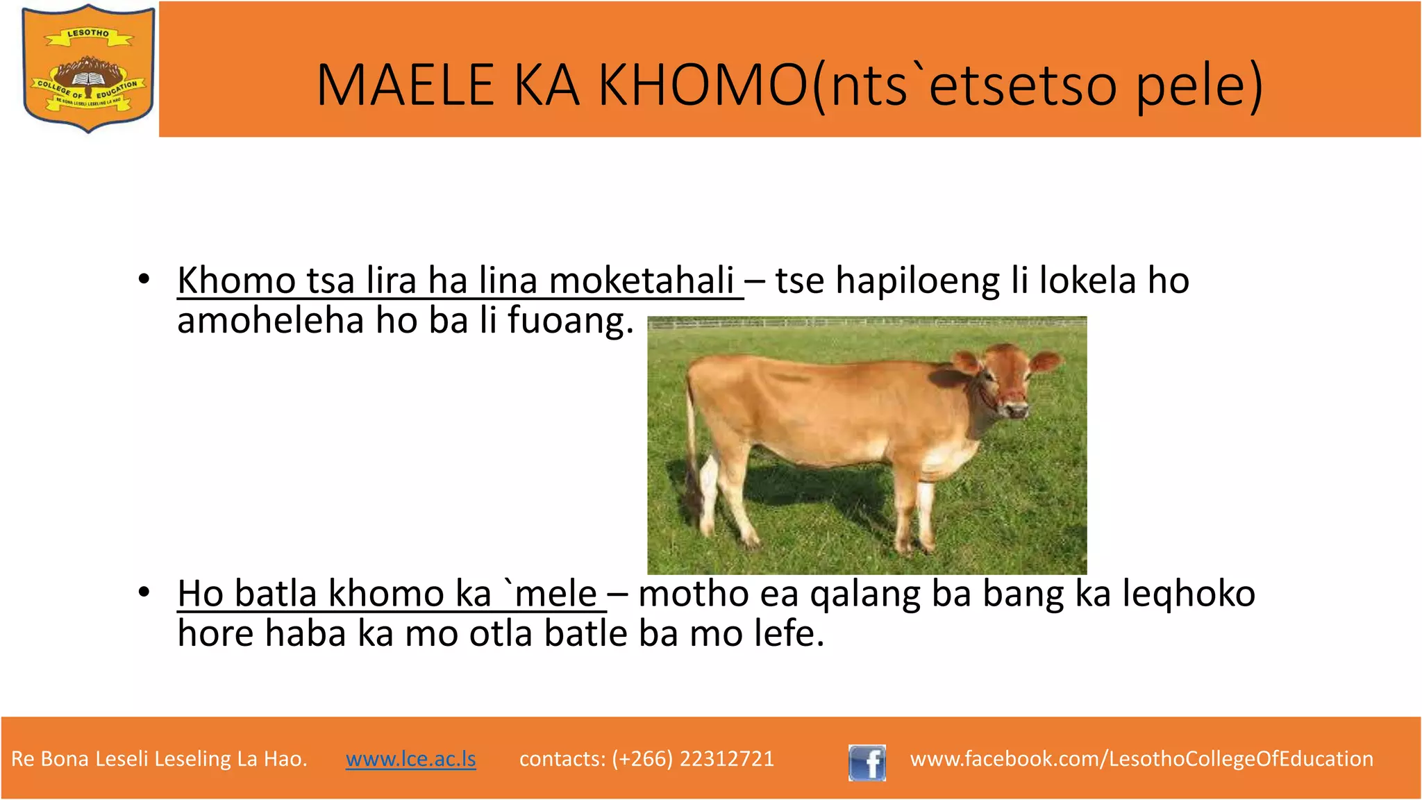 Maele a Sesotho | PPTX