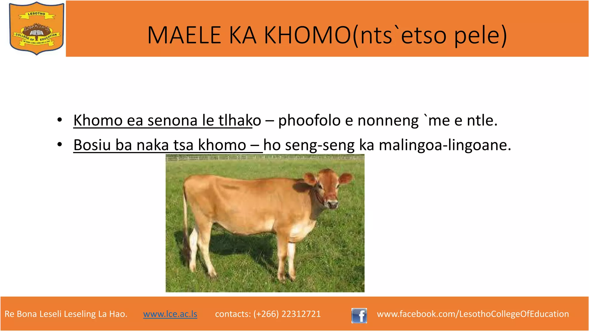 Maele a Sesotho | PPTX