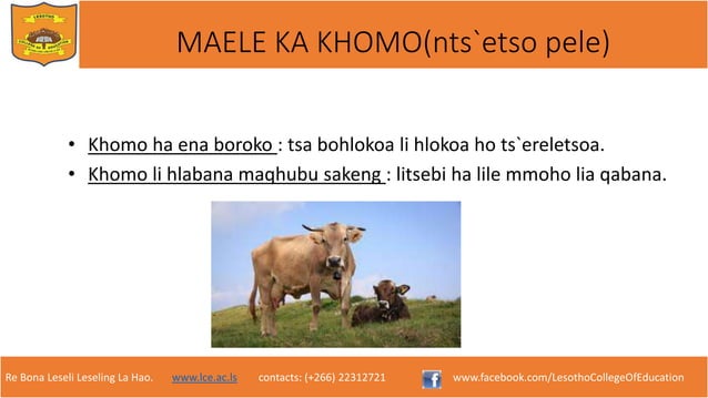Maele a Sesotho | PPTX