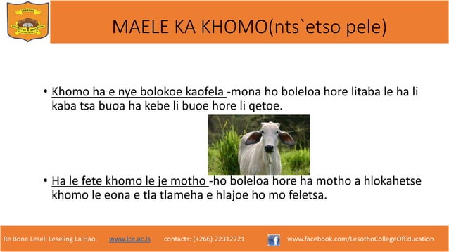 Maele a Sesotho | PPTX