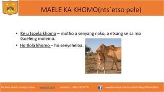 Maele a Sesotho | PPTX