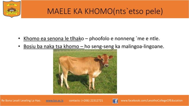 Maele a Sesotho | PPTX