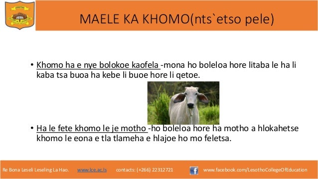 Maele a Sesotho